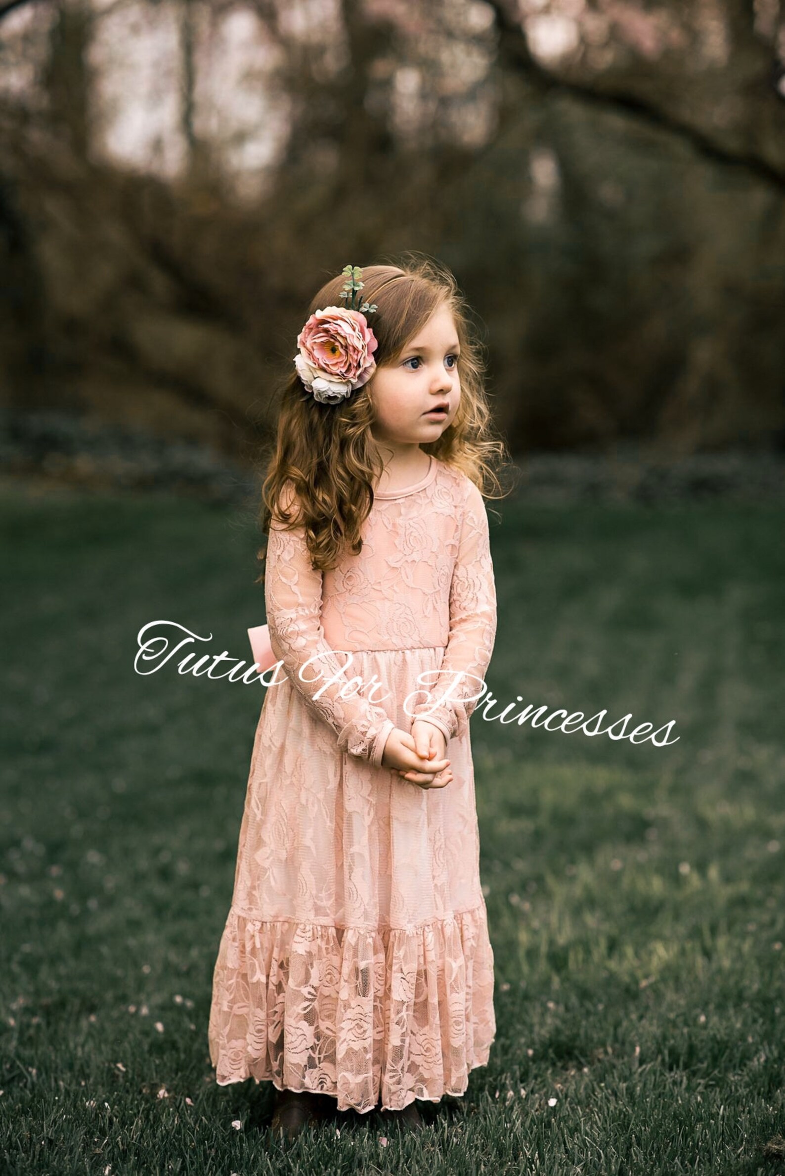 Princess Lace Flower Girl Dress Various Colours Wedding - Etsy