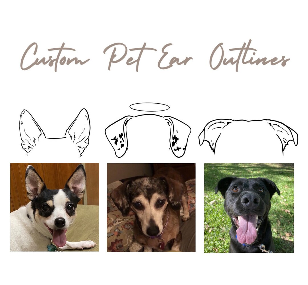 Custom Pet Ear Outline Drawing, Digital Pet Outline, Dog Ears Drawing ...