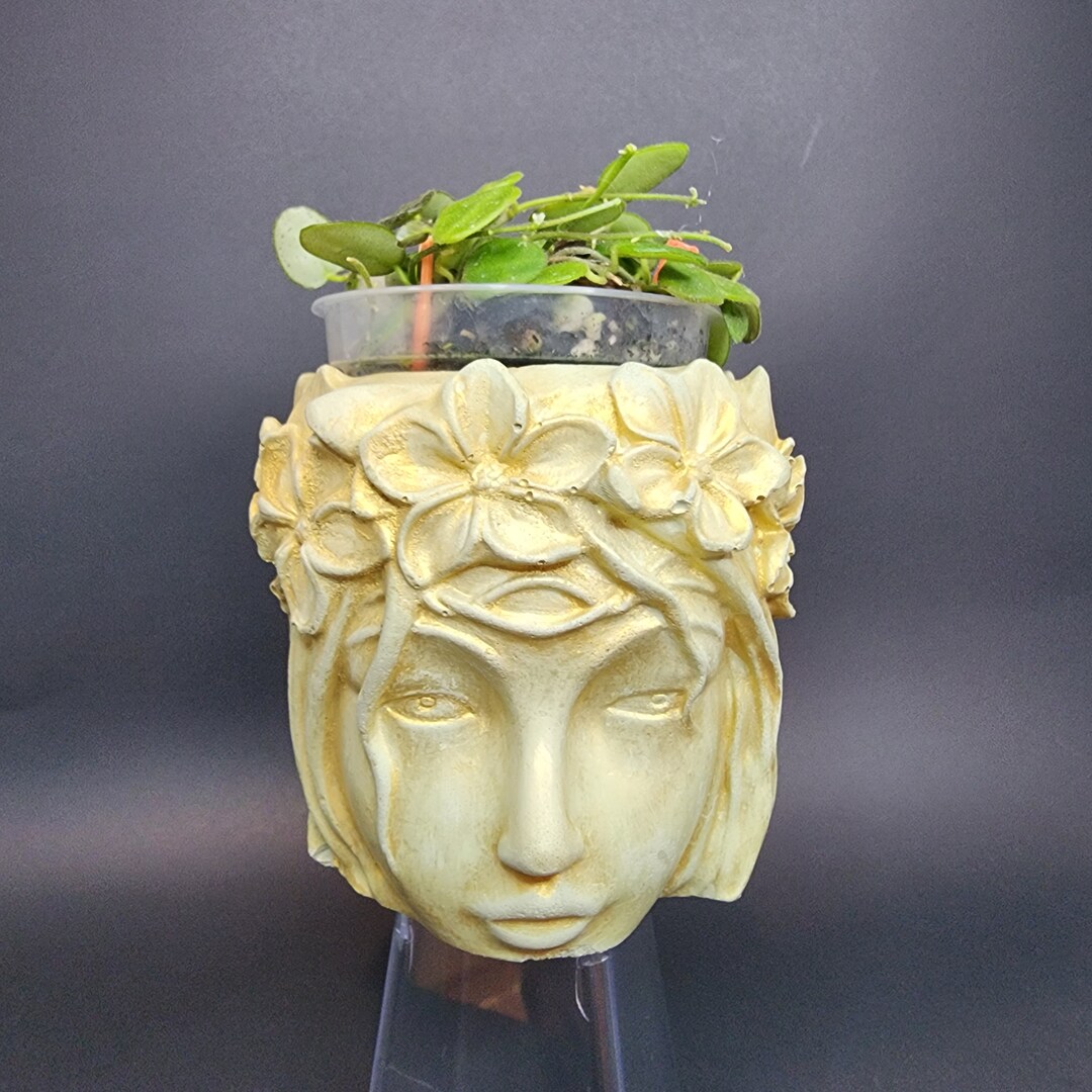 Concrete | Goddess Head Pot | Fit 3" Nursery Pot | Succulent Pot | Make ...