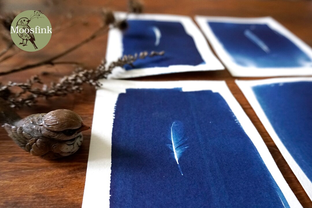 Set of 4 Postcard Cards Mini Feathers Birds Cyanotype Blue Print - Etsy