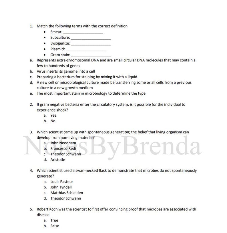 Microbiology Study Guide With Practice Exam! - Etsy