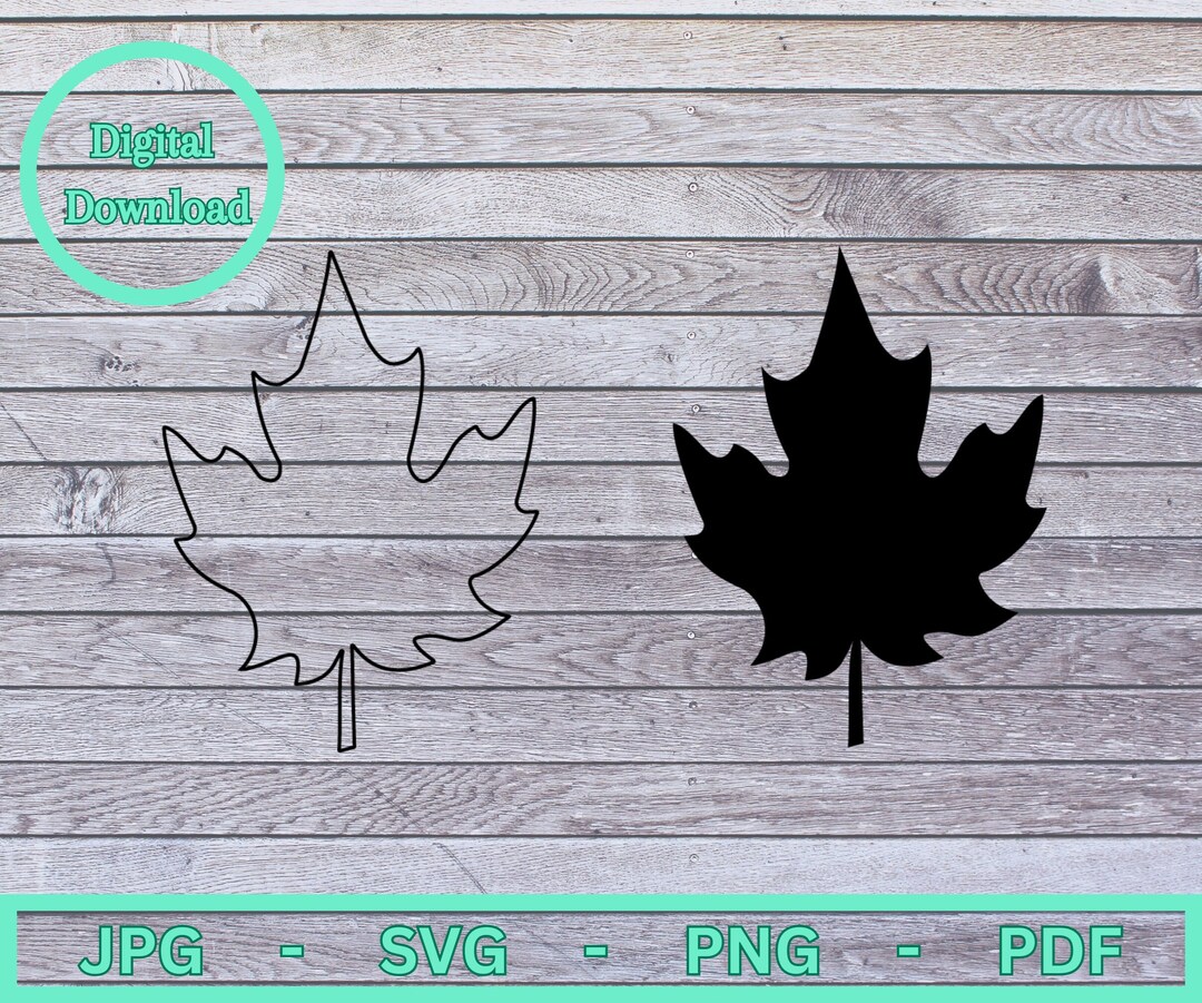 Leaf SVG Leaf PNG Fall Clipart Cut Files PDF Instant - Etsy Israel