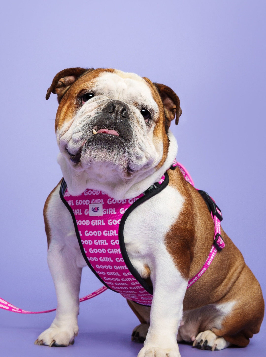 Good Girl Dog Harness - Etsy