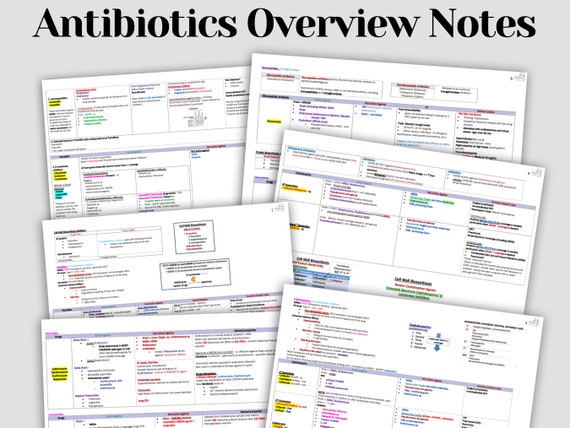 Antibiotics Overview Notes - Etsy
