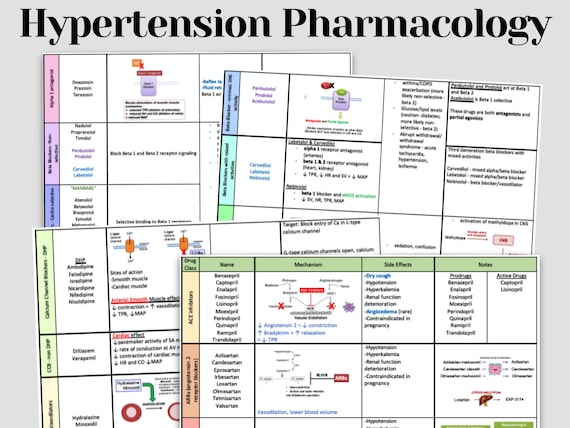Hypertension Pharmacology Notes | Etsy