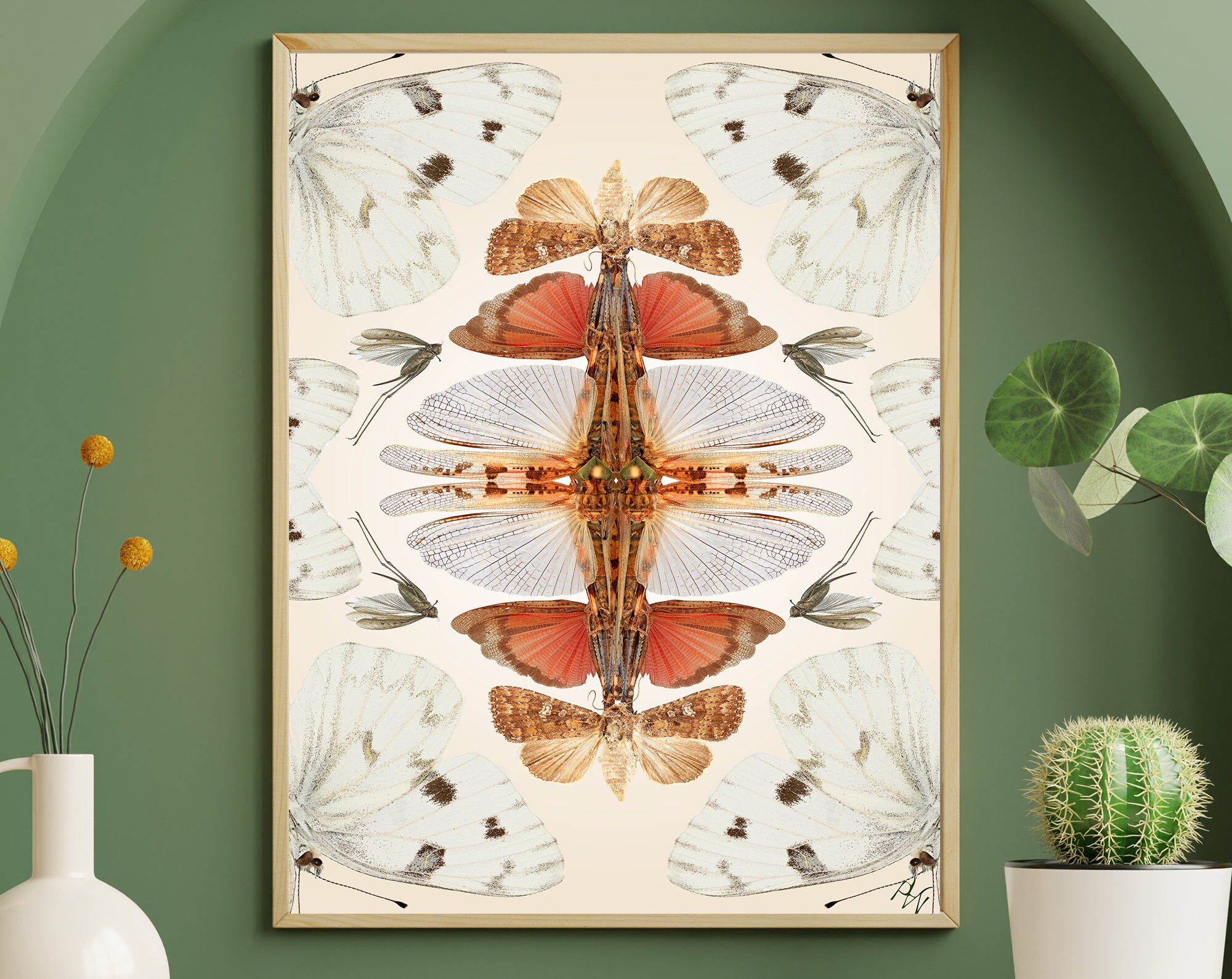 Printable Dijital Poster Download Buterfly Collage Real Insect Image ...