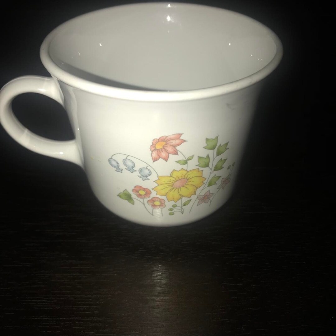 Spring Meadow Cup Corning/corelle Pattern Made in 1977 Was Made Only ...