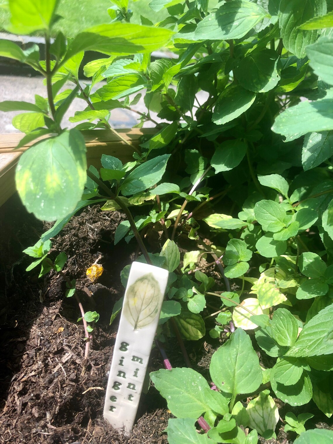 Herb Plant Marker Pot Plant Gift for Gardeners - Etsy