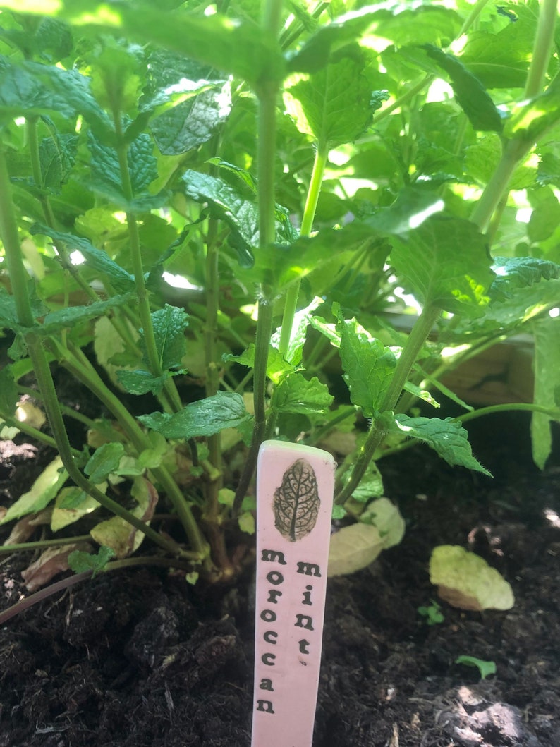 Herb Plant Marker Pot Plant Gift for Gardeners - Etsy UK