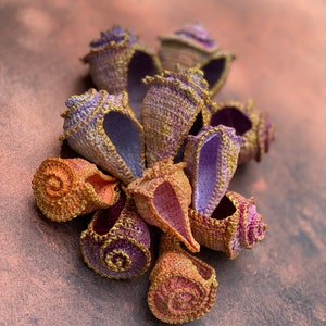 Small Golden Pink Crochet Shell Collectible Art - Etsy
