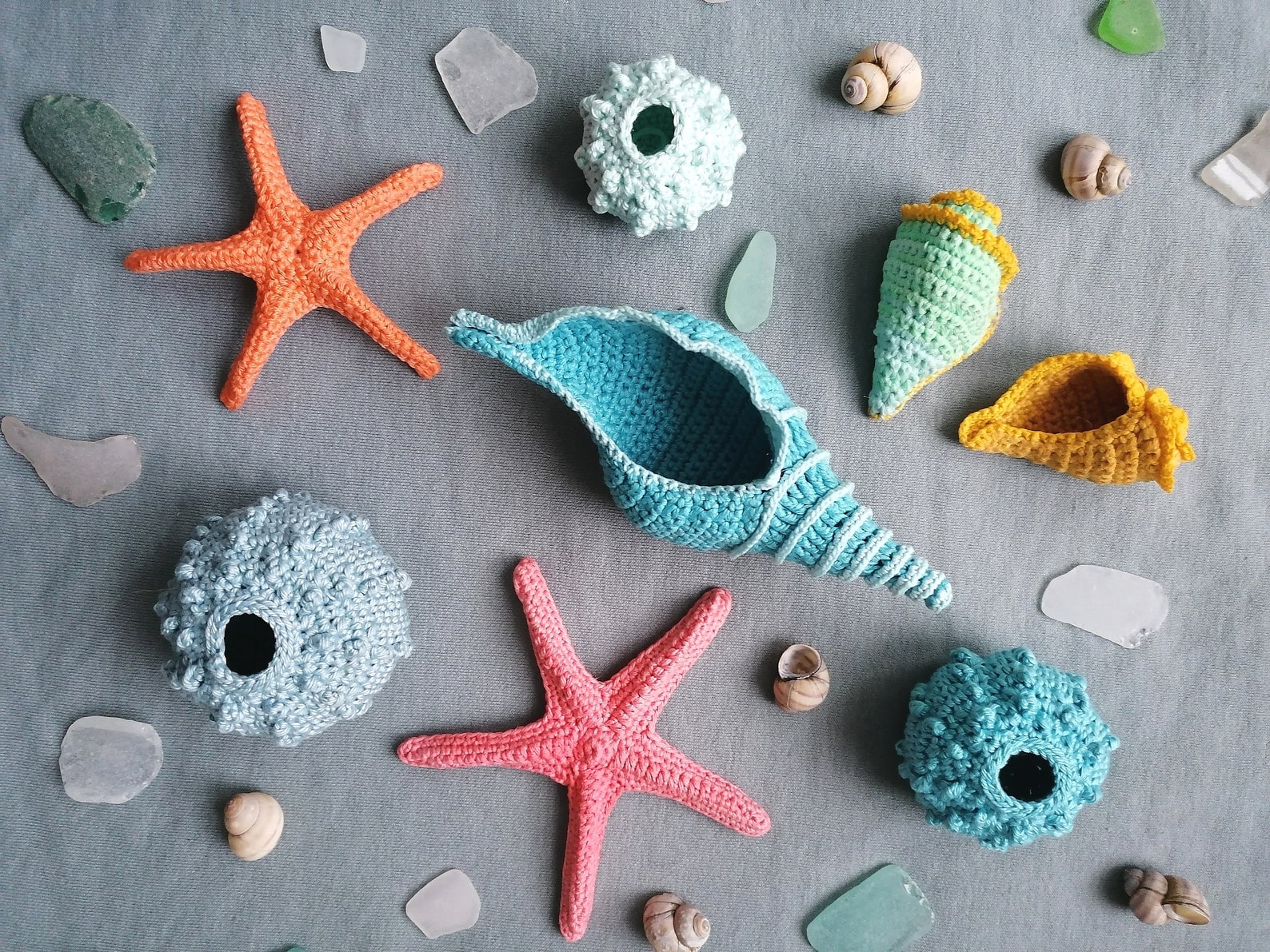 Crochet Sealife Collection No1 Crochet PDF PATTERN Shells, Sea Urchins ...