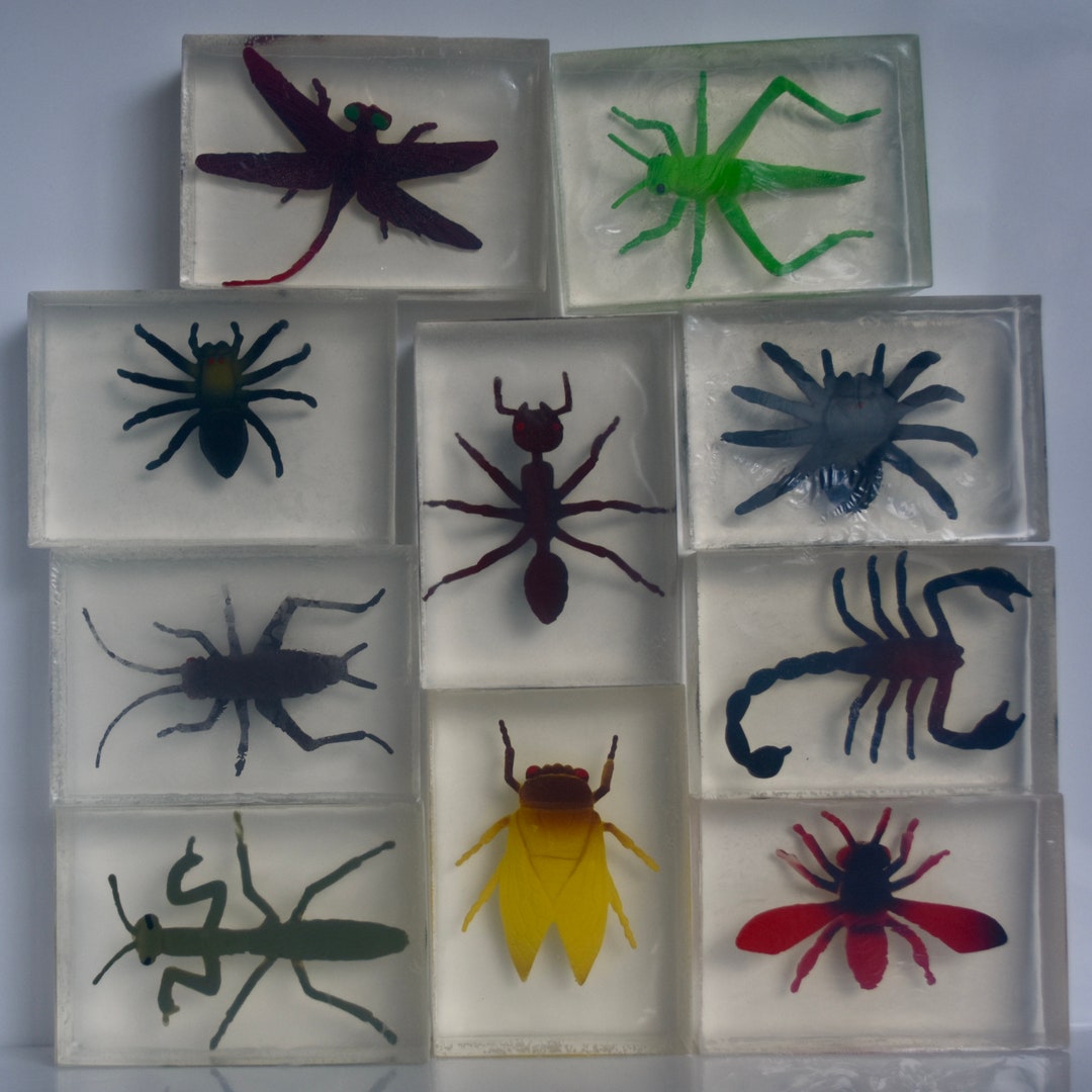 Toy Bug Soap, Handmade Soap, Cockroach Soap, Kids Soap, Practical Joke ...