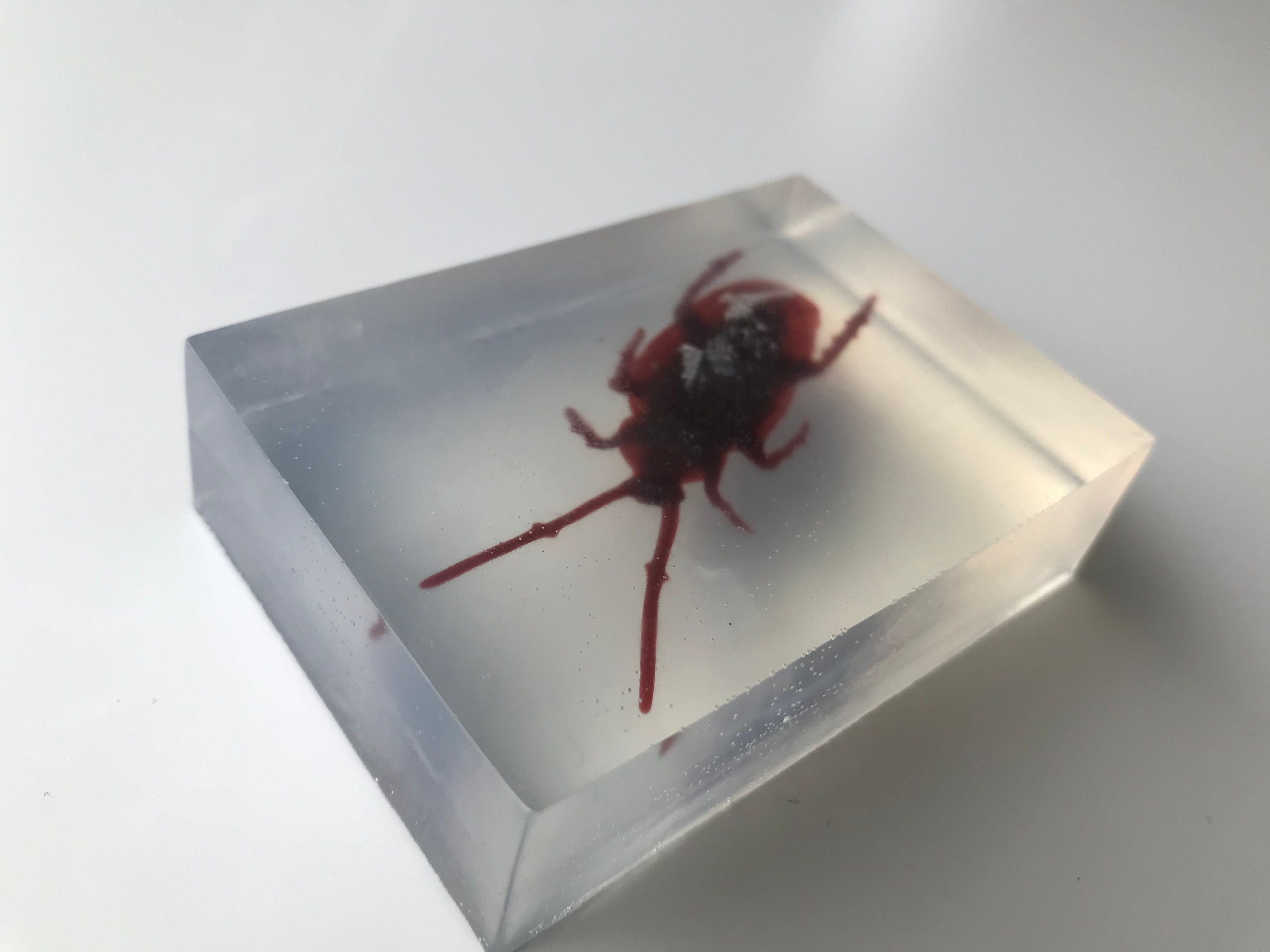 Toy Bug Soap, Handmade Soap, Cockroach Soap, Kids Soap, Practical Joke ...