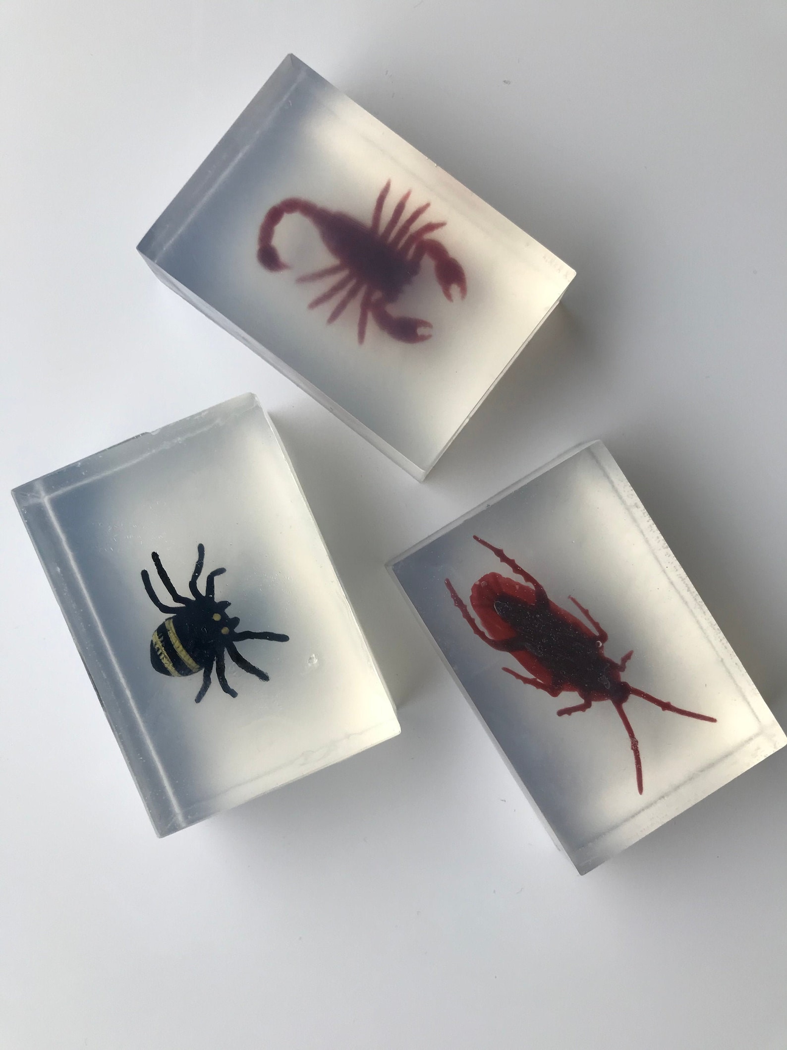 Toy bug soap Handmade soap Cockroach soap Kids soap | Etsy