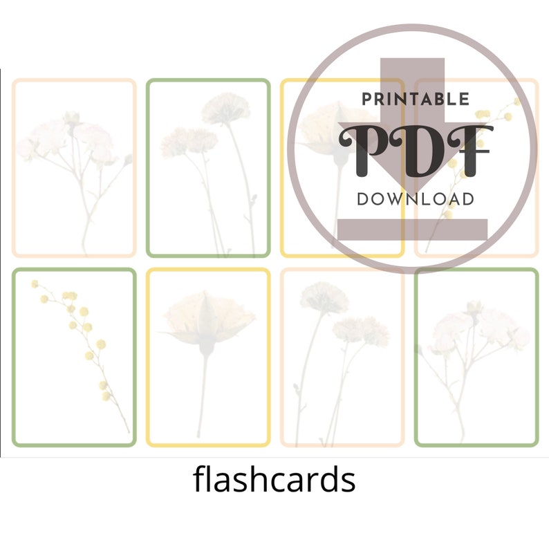 Student Wall Organizer, Cute Flashcards, Blank Monthly Chart, Floral ...