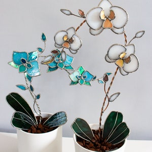 TUTORIAL • 3D Orchid Plant (full Instructions) Stained Glass Pattern ...