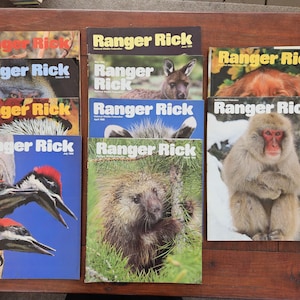 Ranger Rick Magazines 1980s Vintage Lot of 22 Children's Wildlife ...
