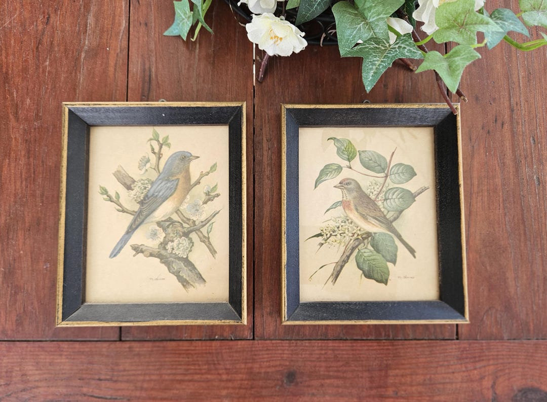 PH Gonner Vintage Framed Bird Prints Set of 2 Lithoprints - Etsy