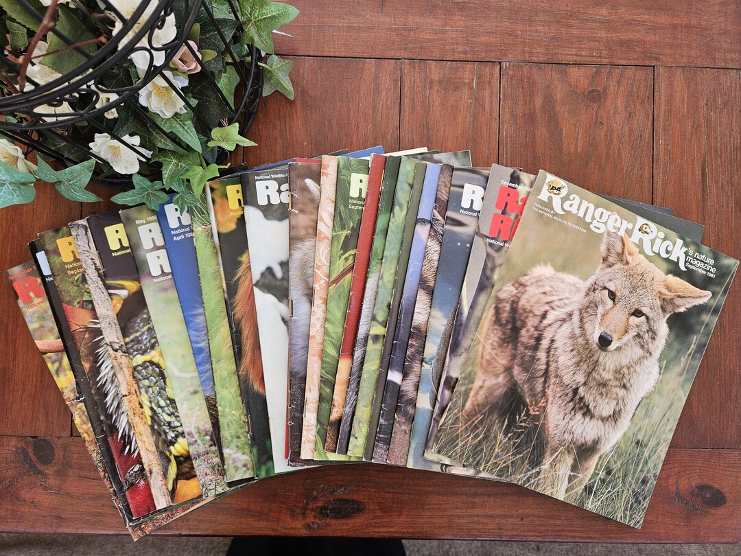 Ranger Rick Magazines 1980s Vintage Lot of 22 Children's Wildlife ...