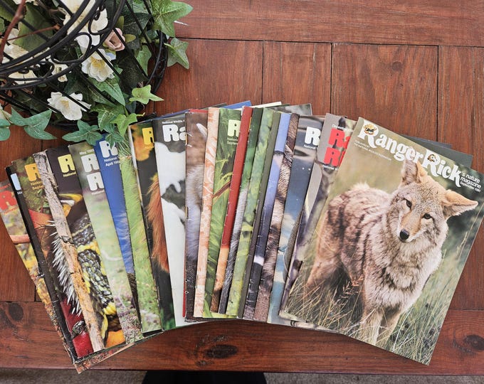 Ranger Rick Magazines 1980s Vintage Lot of 22 Children's Wildlife ...