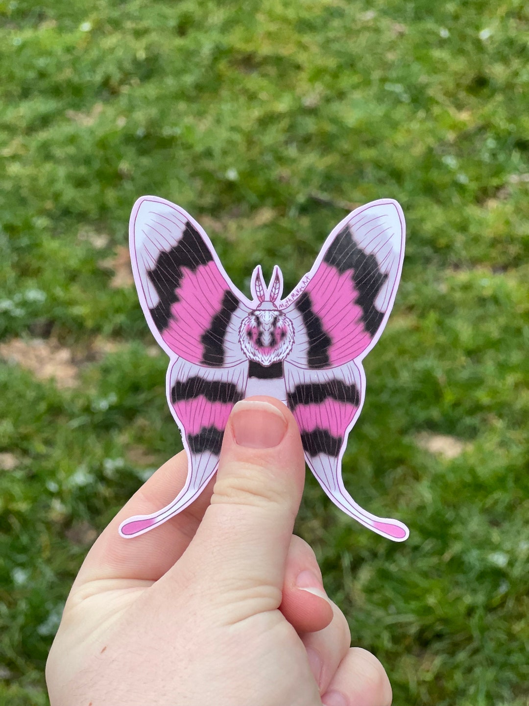 Asexual Pride Moth Vinyl Sticker - Etsy