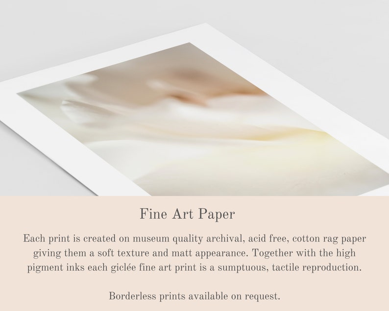 Open Abstract Art Print, Botanical Art, Modern Decor, Interior Design ...