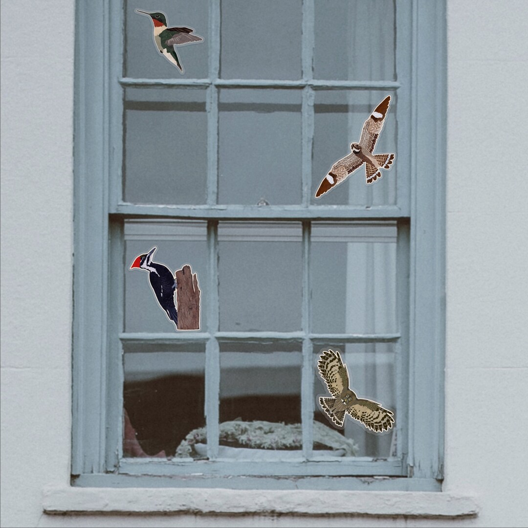 Owl Window Decal - Etsy