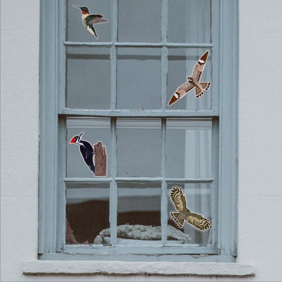 Owl Window Decal | Etsy