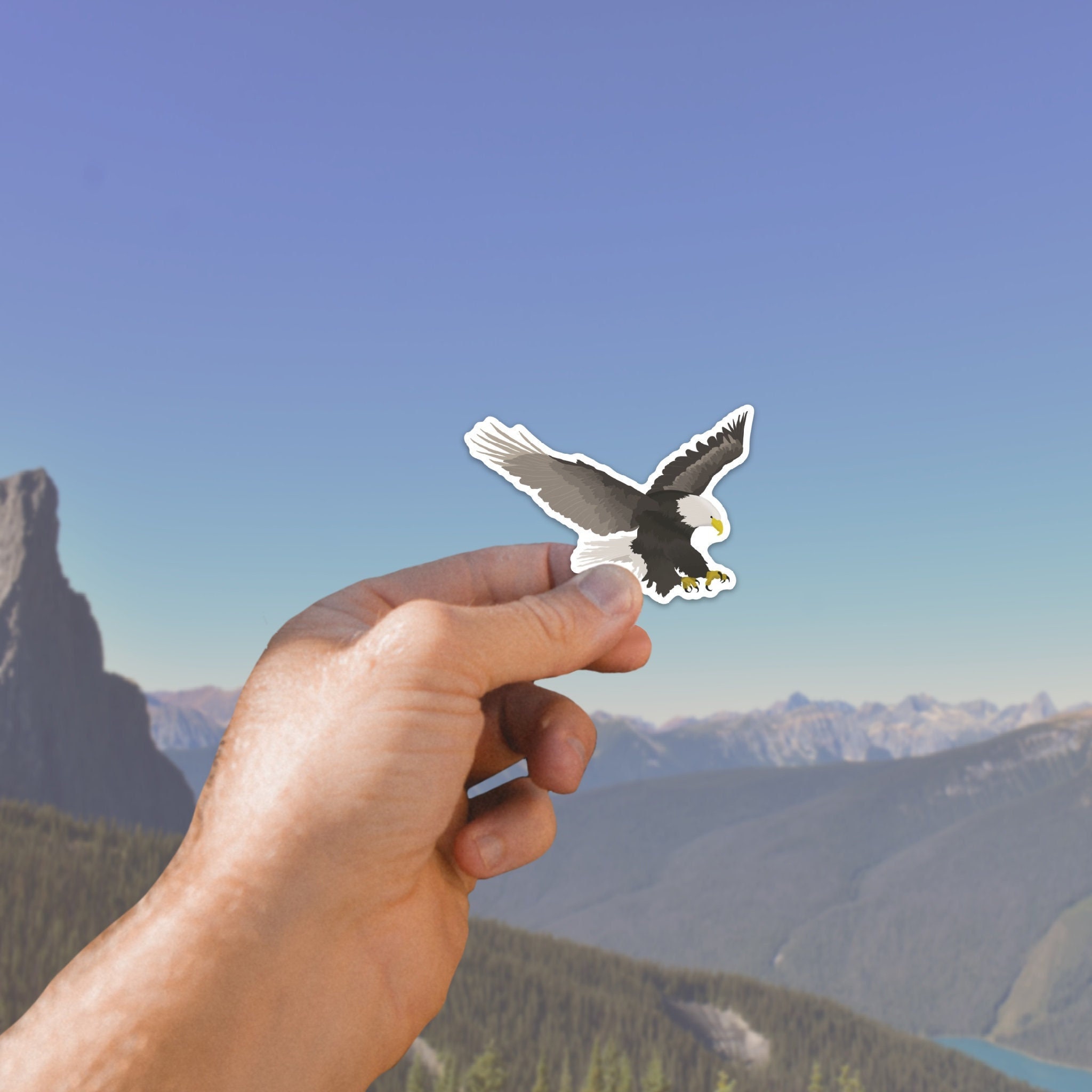 Bald Eagle Sticker - Etsy