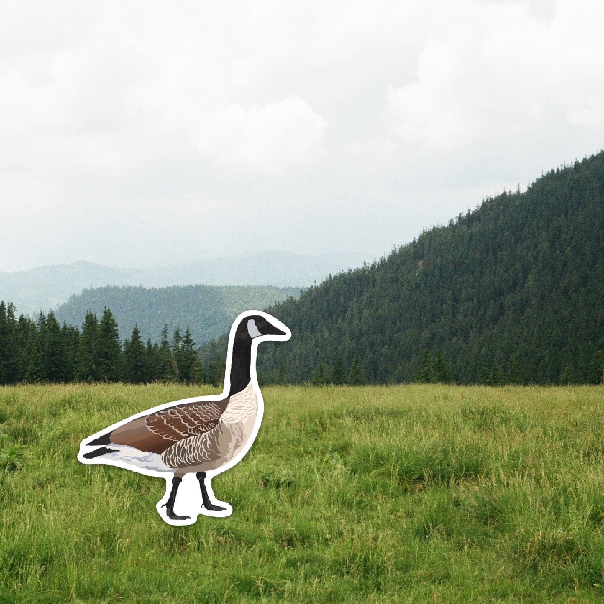 Canada Goose Sticker | Etsy