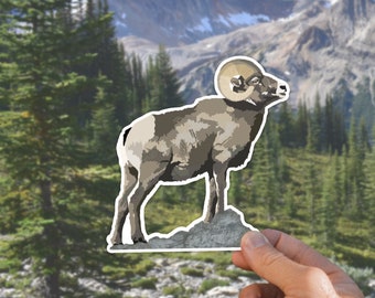 Bighorn Sheep Sticker - Etsy