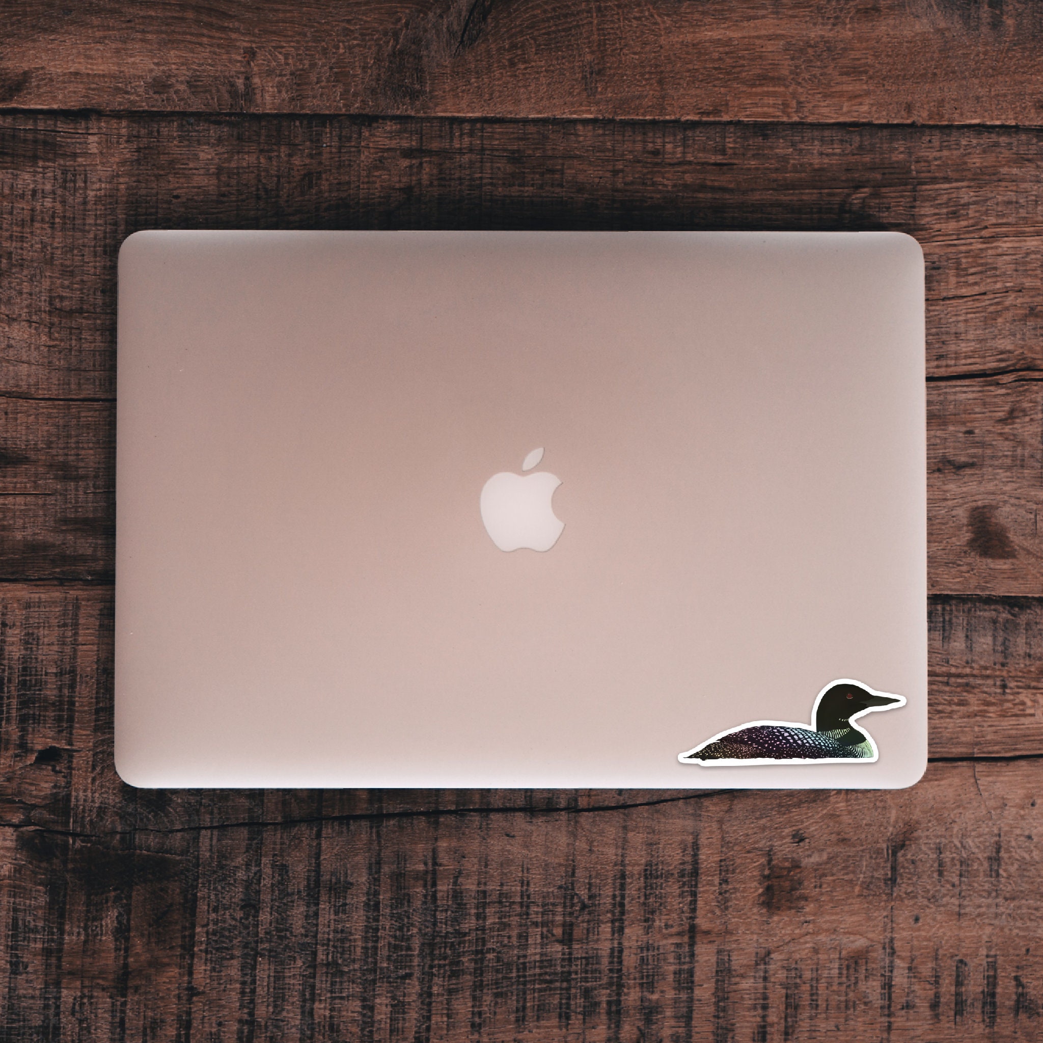 Holographic Loon Sticker | Etsy