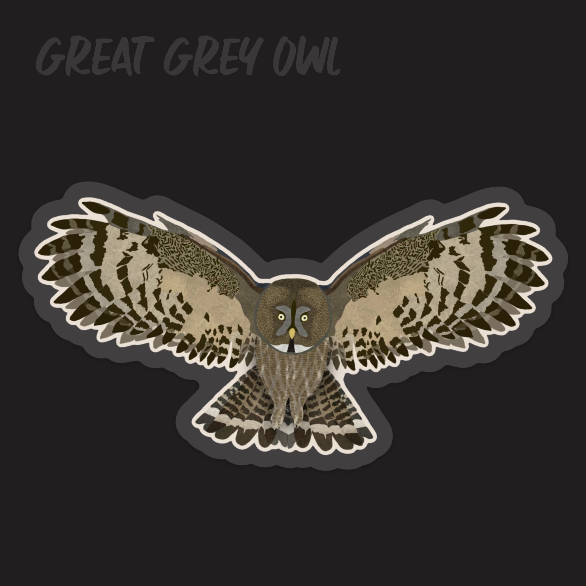 Owl Window Decal | Etsy