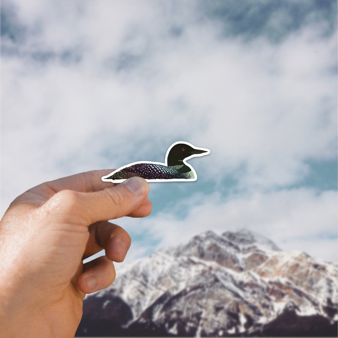 Holographic Loon Sticker - Etsy