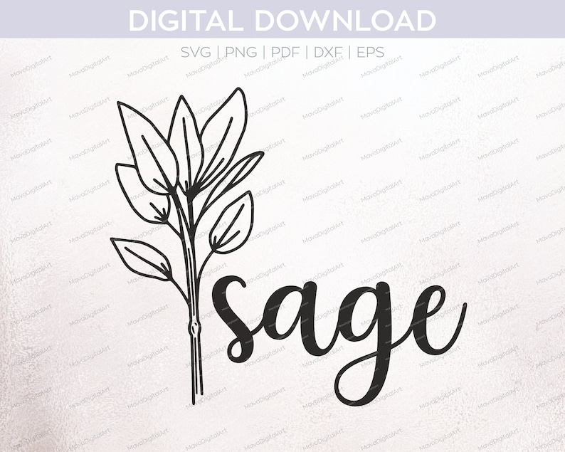 Sage PNG SVG DXF to Cut Out With Cricut or Silhouette, Digital Download ...