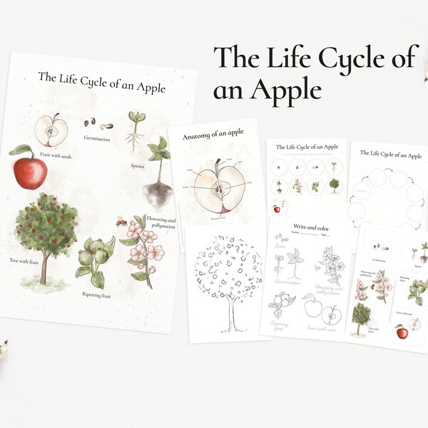 Spring Unit Study - Etsy