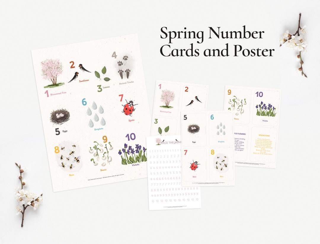 Spring Inspired Number Cards and Poster - Preschool Unit Study With ...
