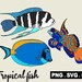 Tropical Fish Designs SVG PNG PDF, Clipart, Personal and Commercial Use ...