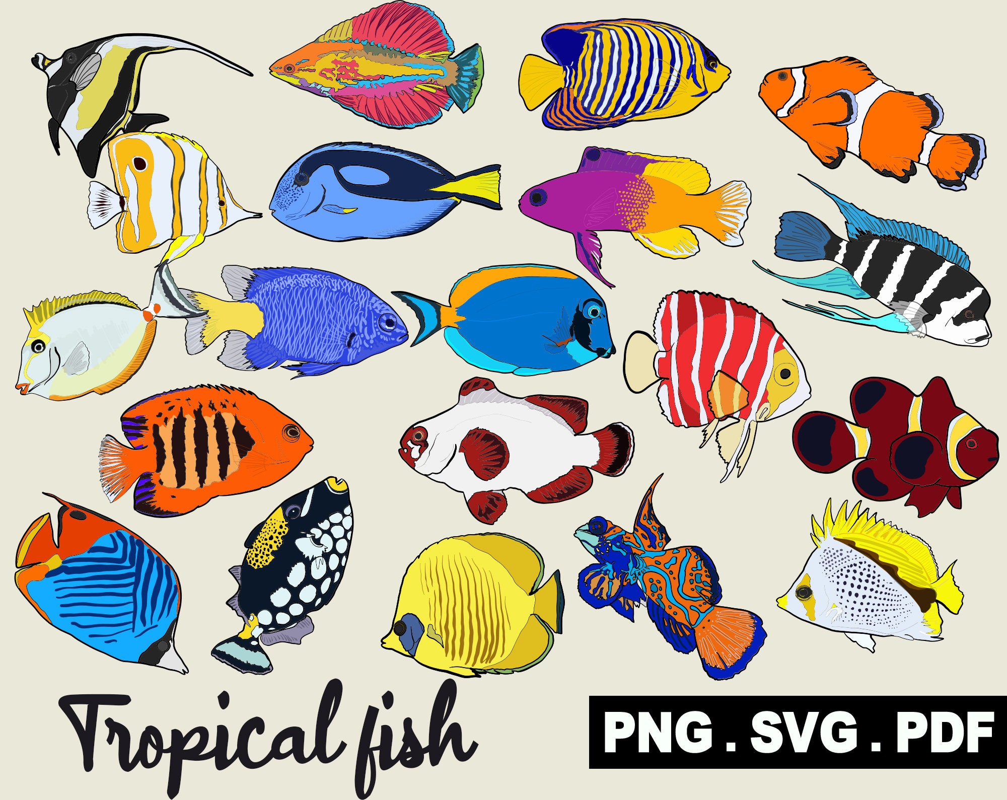 Tropical Fish Designs SVG PNG PDF, Clipart, Personal and Commercial Use ...