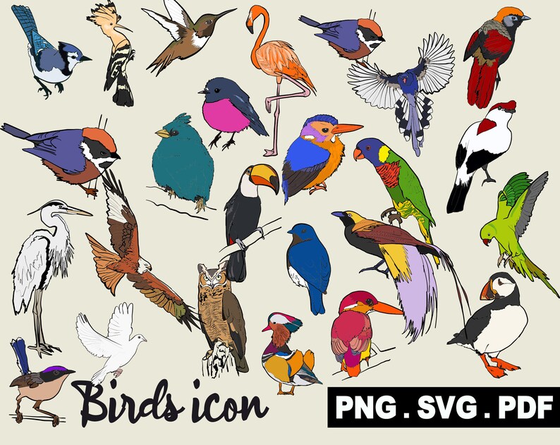 Birds Designs SVG PNG PDF, Clipart, Personal and Commercial Use ...