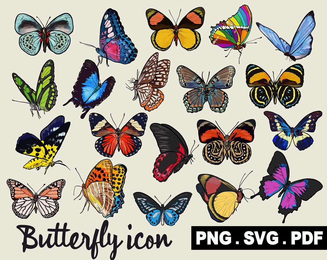 Butterfly Designs SVG PNG PDF Clipart Personal and - Etsy