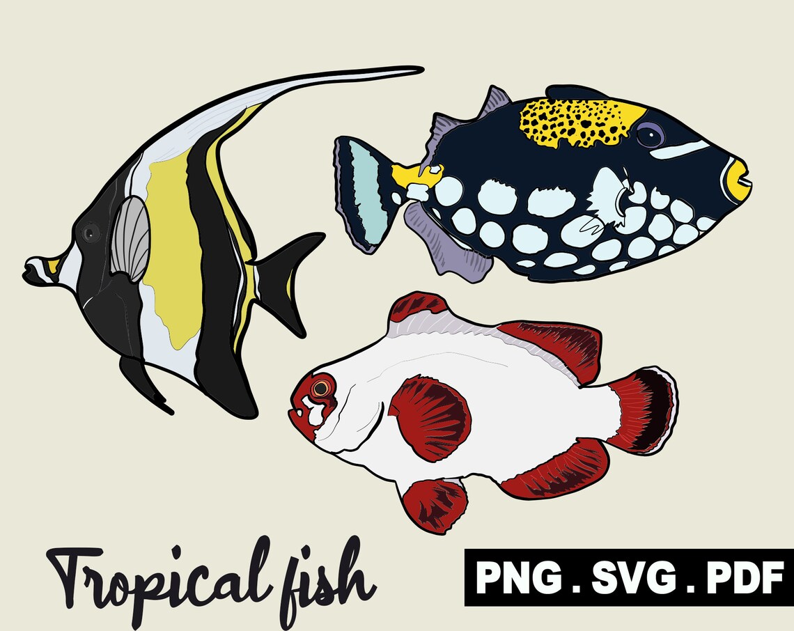 Tropical Fish Designs SVG PNG PDF, Clipart, Personal and Commercial Use ...