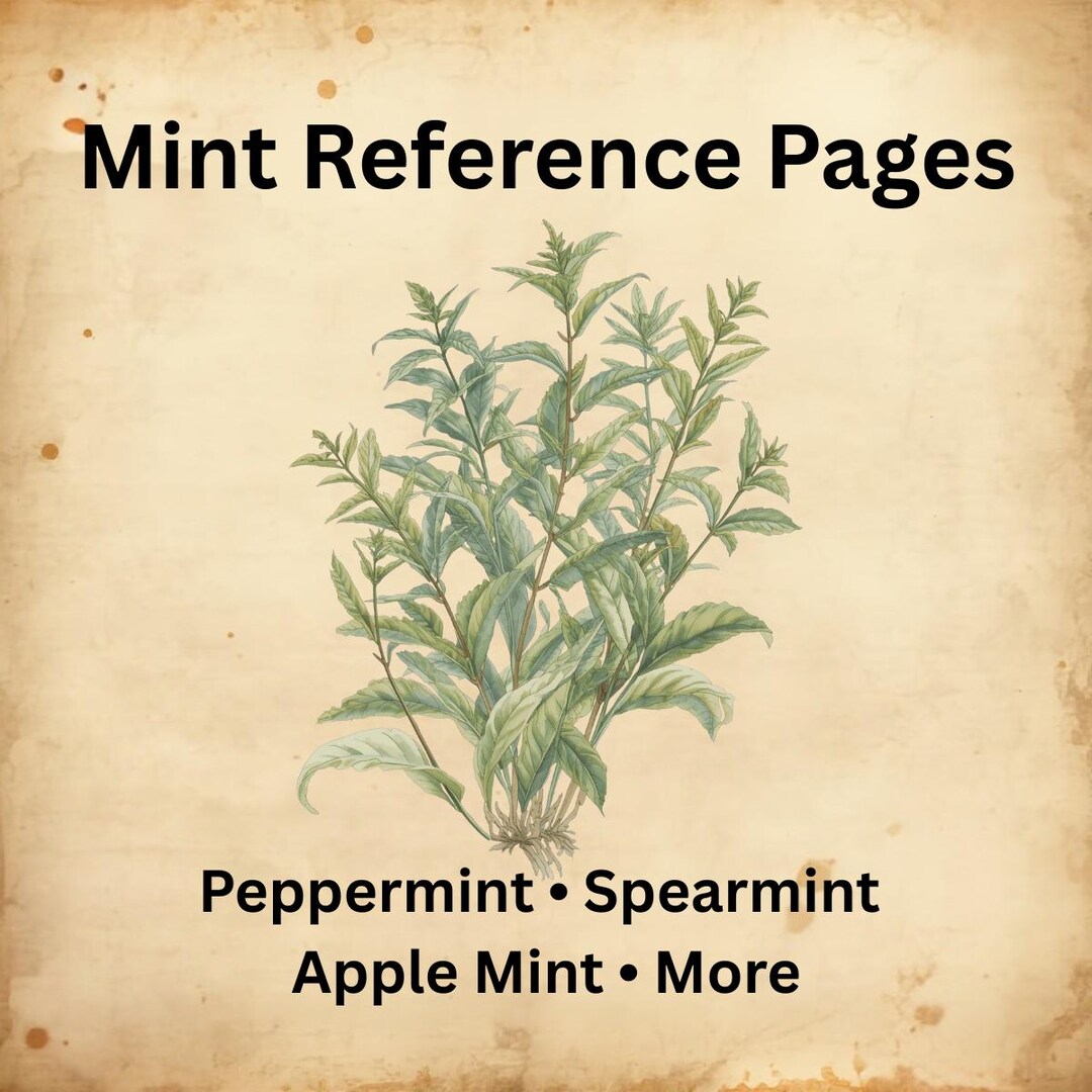 Mint Varieties Comparison Chart | Growing & Use Reference (PDF) - Etsy ...