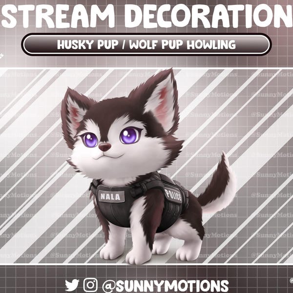 Police Stream Overlay - Etsy