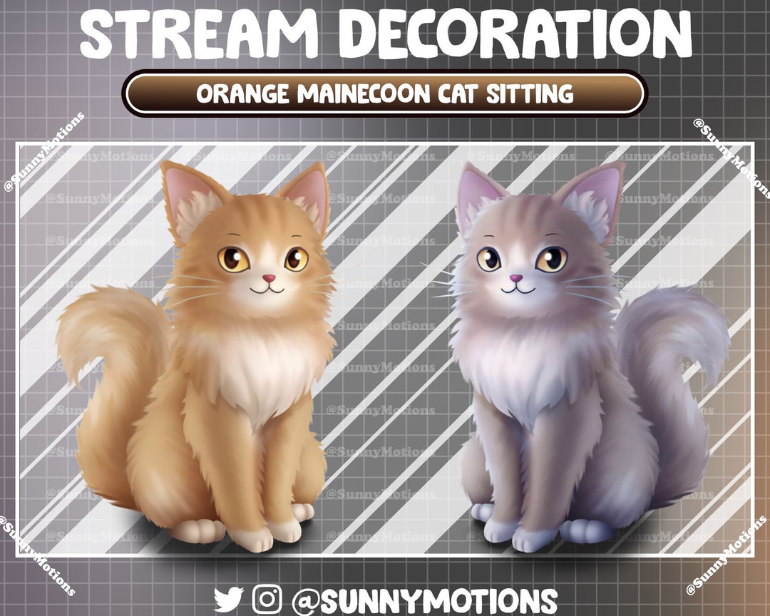 Animated Stream Decoration: Orange Maine Coon Cat Sitting Twitch ...