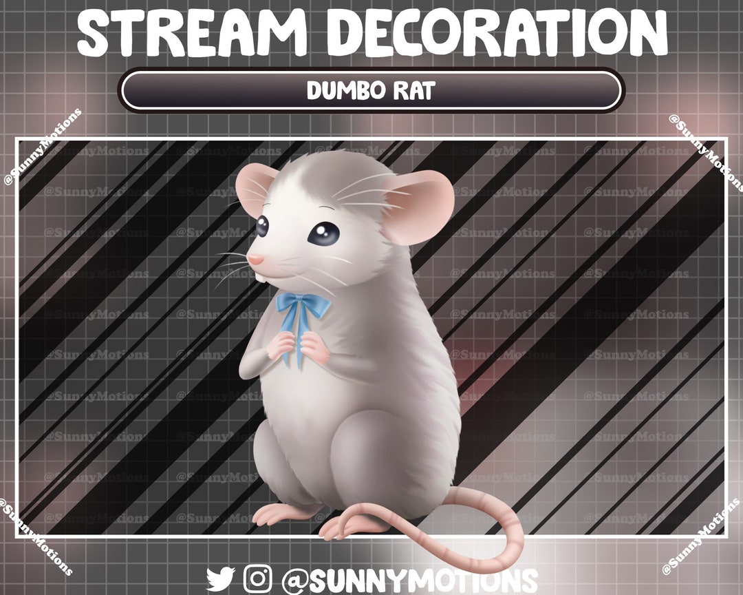 Animated Stream Decoration Animal: Lo-fi Aesthetic Little Grey White ...