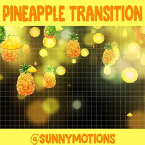 Animated Twitch Discord Stinger Transition / Pineapple Falling Stream ...