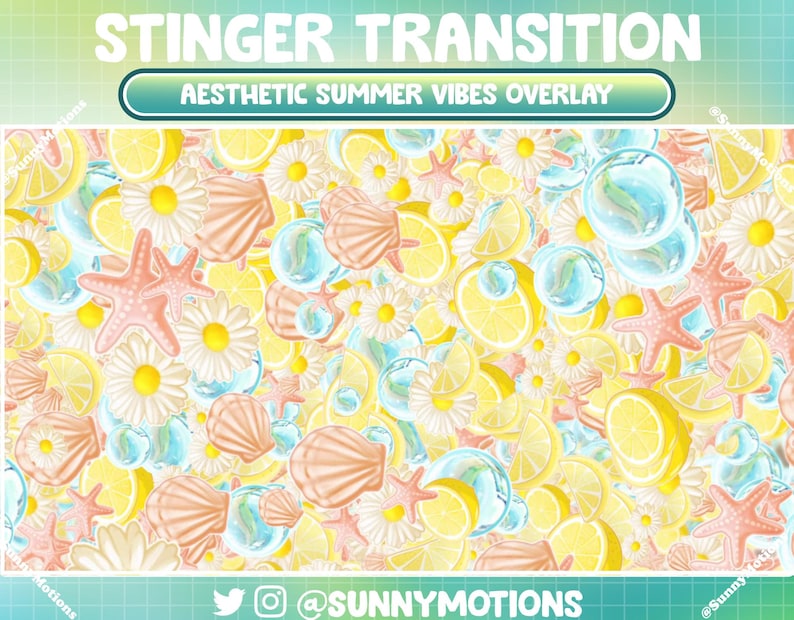Animated Lo-fi Aesthetic Summer Vibes Stream Stinger Transition ...