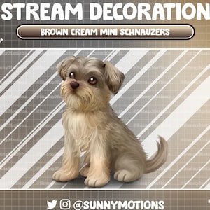 1 Animated Stream Decoration: Cute Brown Cream Miniature Schnauzers Dog ...