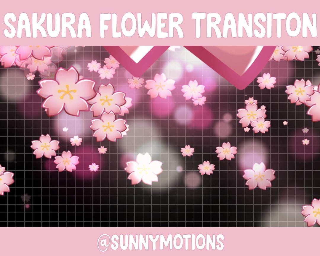 Sakura Flower Animated Twitch Scene Stinger Transition - Kawaii Pink ...